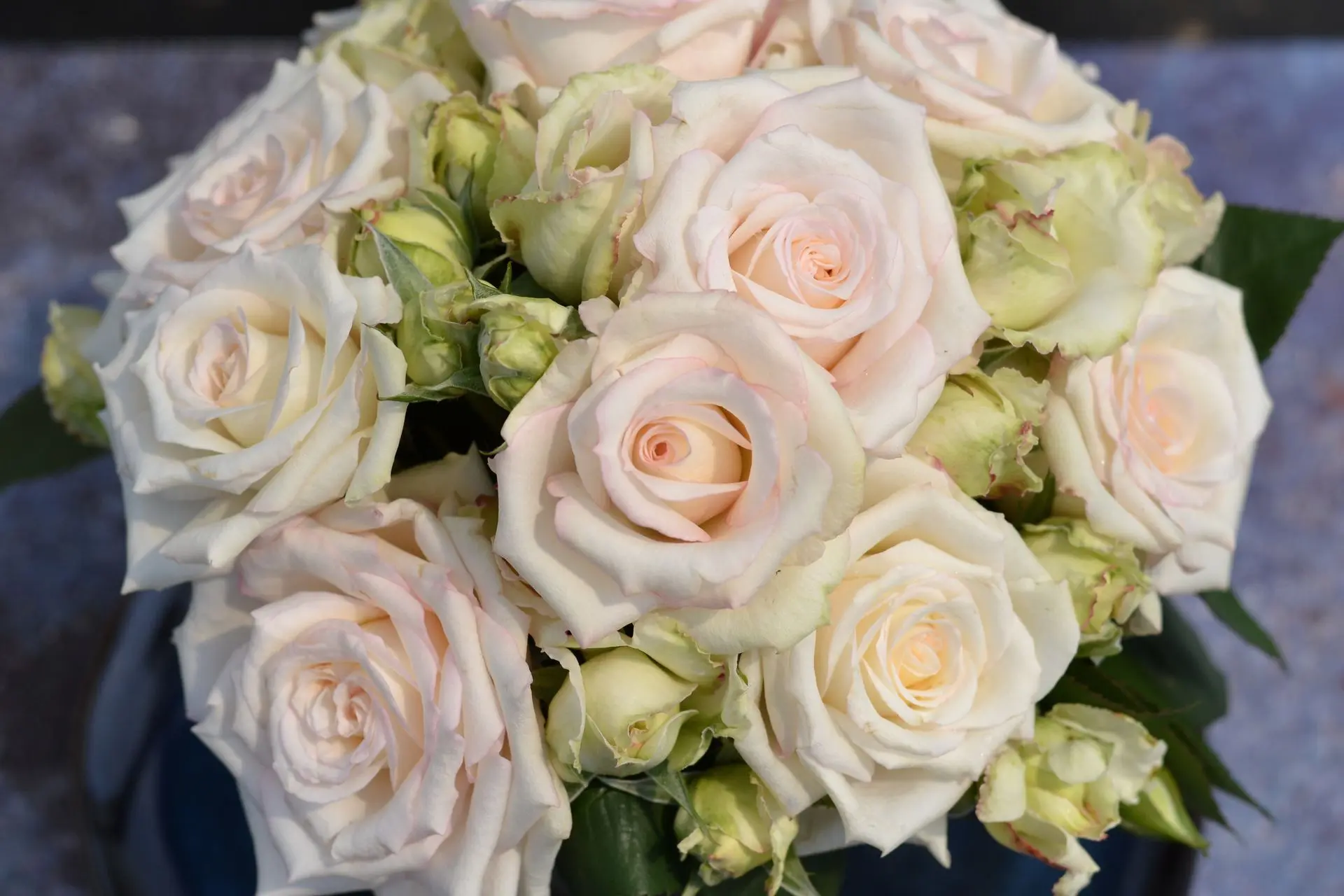 Les plus célèbres citations sur les roses | Blog Verdia